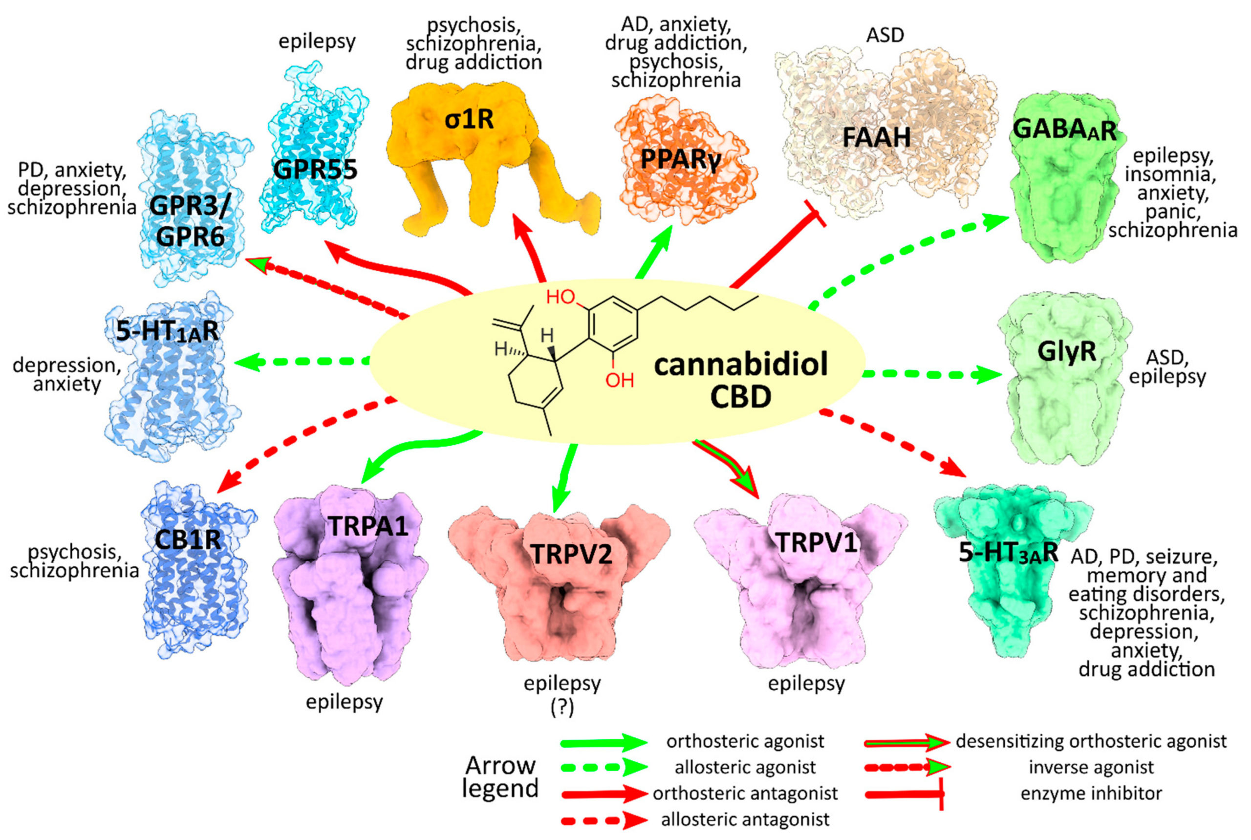 The (Poly)Pharmacology of Cannabidiol in Neurological and ...